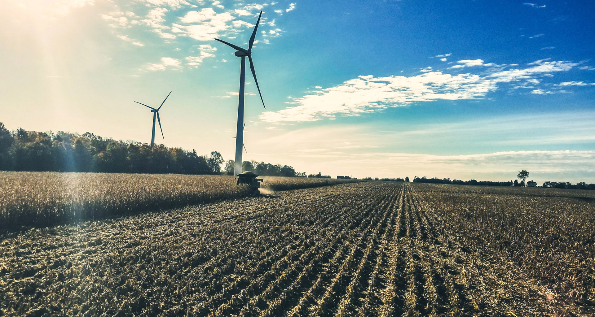 About | Heritage Grown | Farms