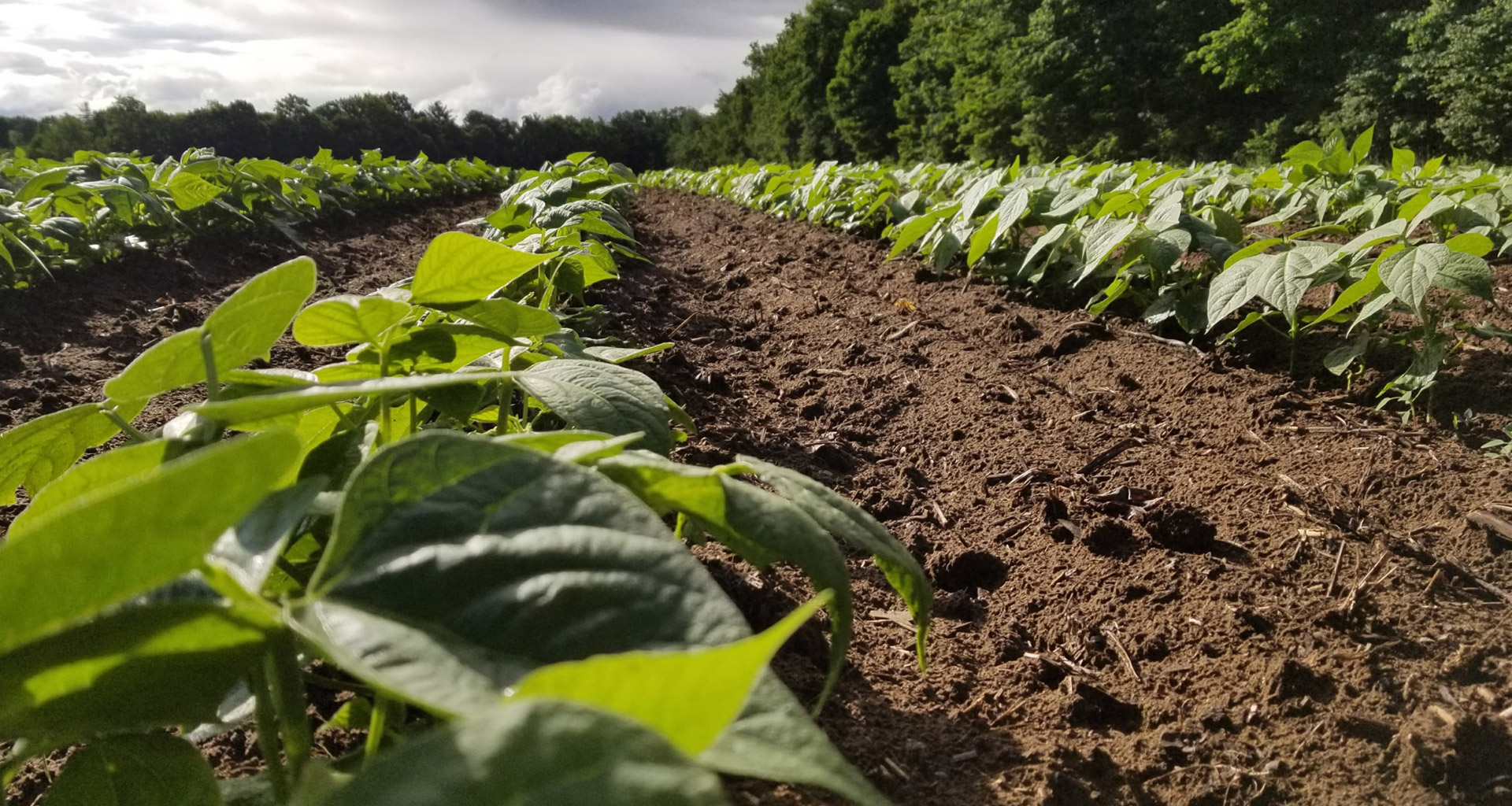 Contact | Heritage Grown | Farms